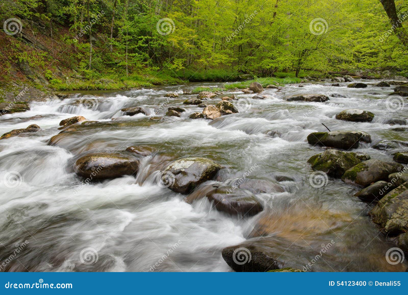 Boulder Filled Stream in Forest. Stock Photo - Image of environment ...