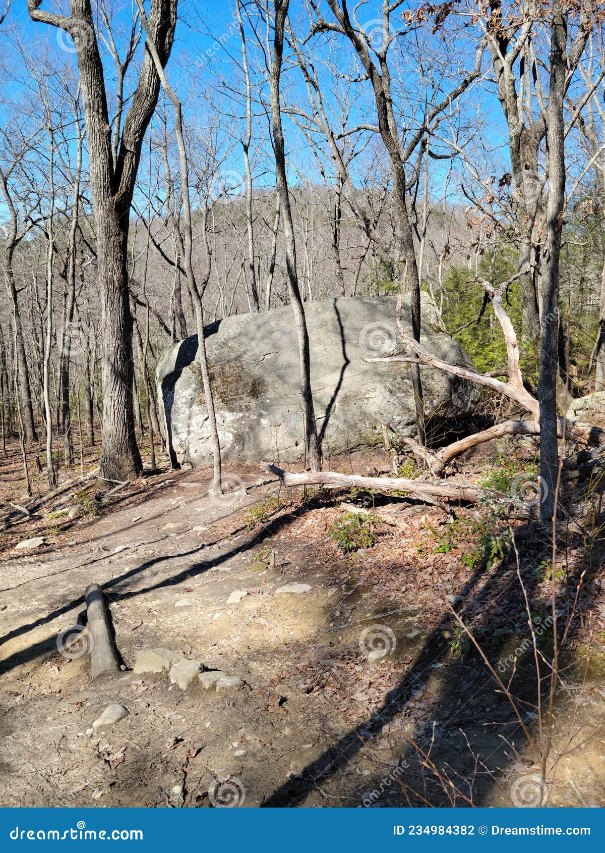 Boulder in Forest stock photo. Image of geology, wall - 234984382