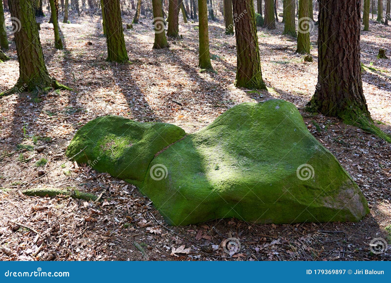 Boulder in the forest stock image. Image of natural - 179369897