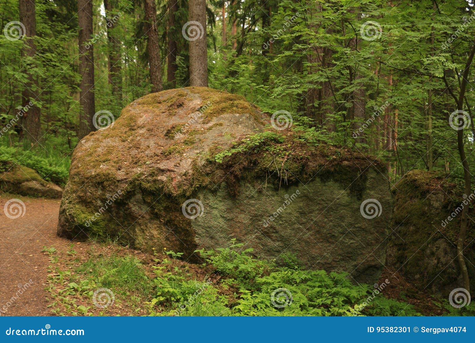 Boulder in the forest stock image. Image of outdoors - 95382301