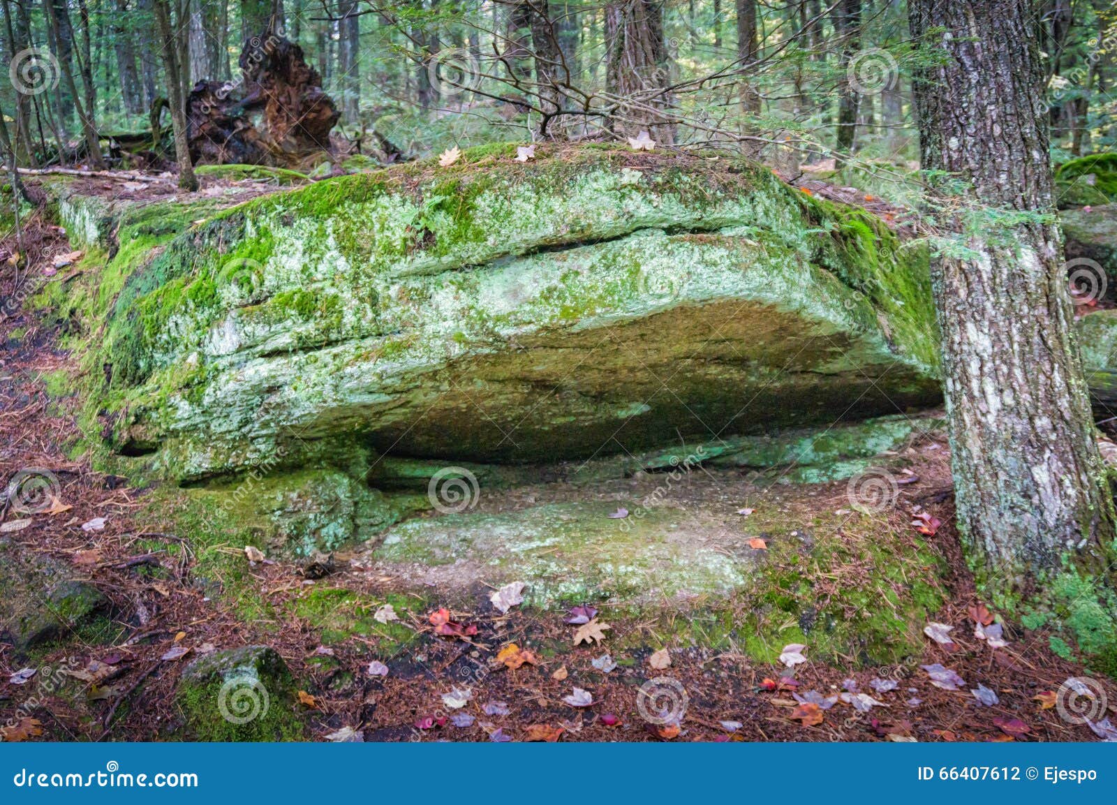 Boulder in the Ground stock photo. Image of autumn, colors - 66407612