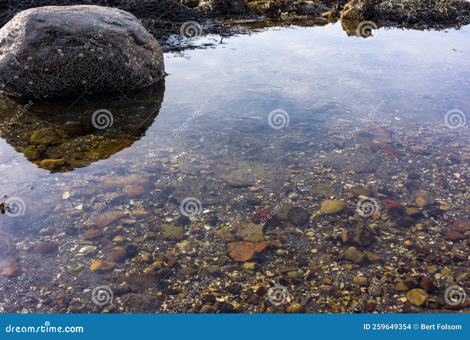 Boulder Next To a Shallow Tidal Pool with Sunlight Reflected on the ...