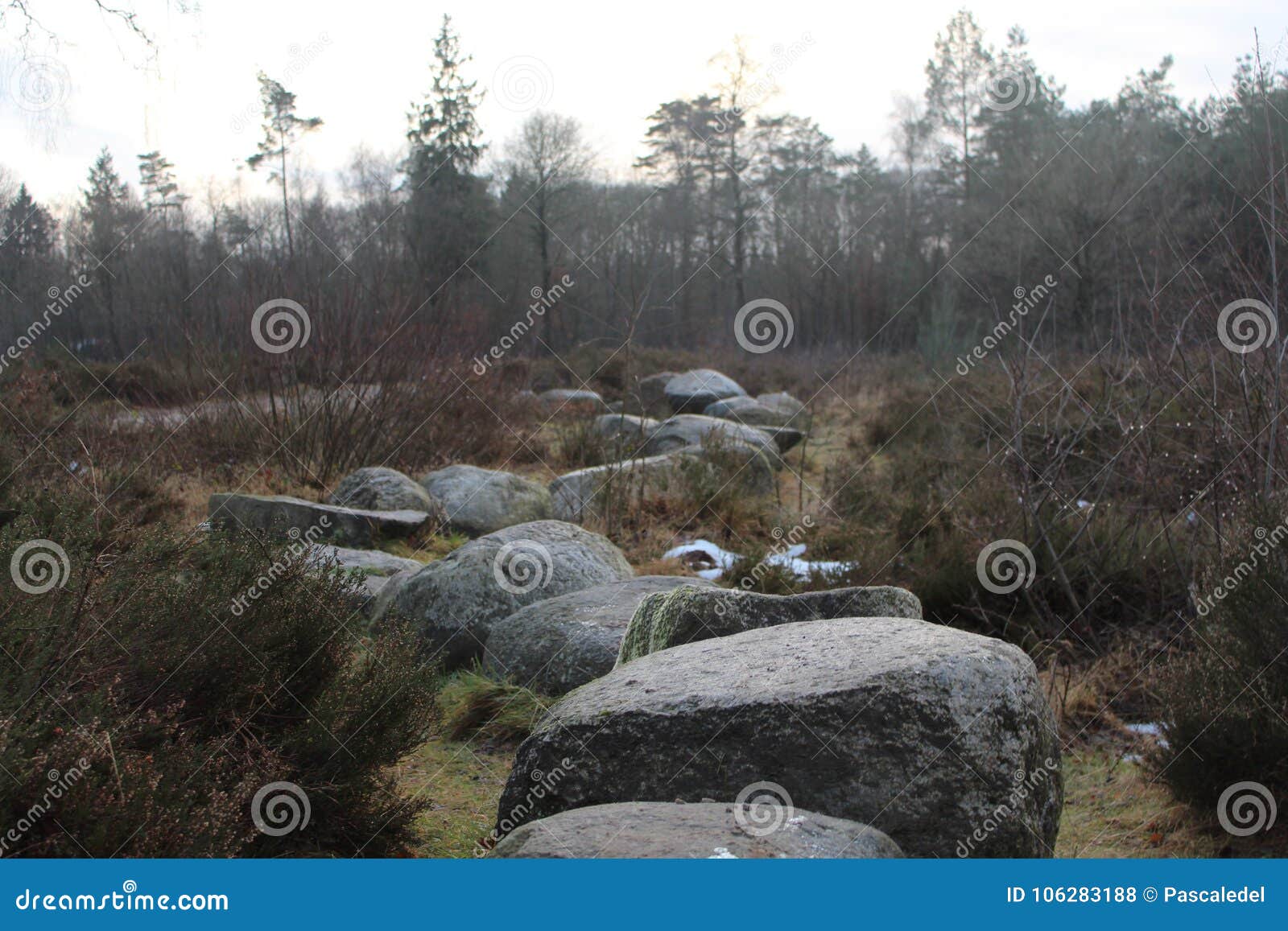 Boulder Path in Nature stock photo. Image of nature - 106283188