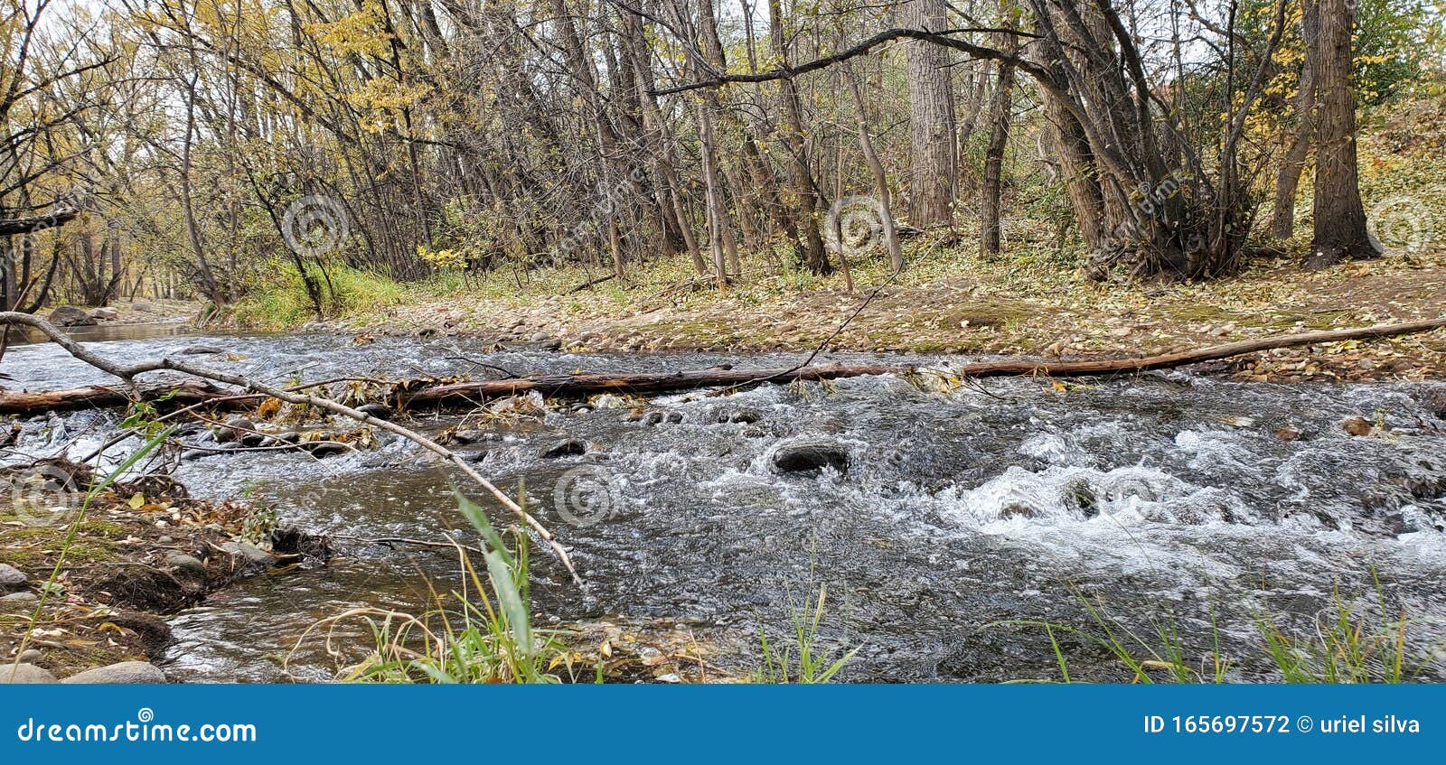 Boulder River during Fall 2019 Stock Photo - Image of boulder, river ...