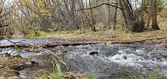 Boulder River during Fall 2019 Stock Photo - Image of boulder, river ...