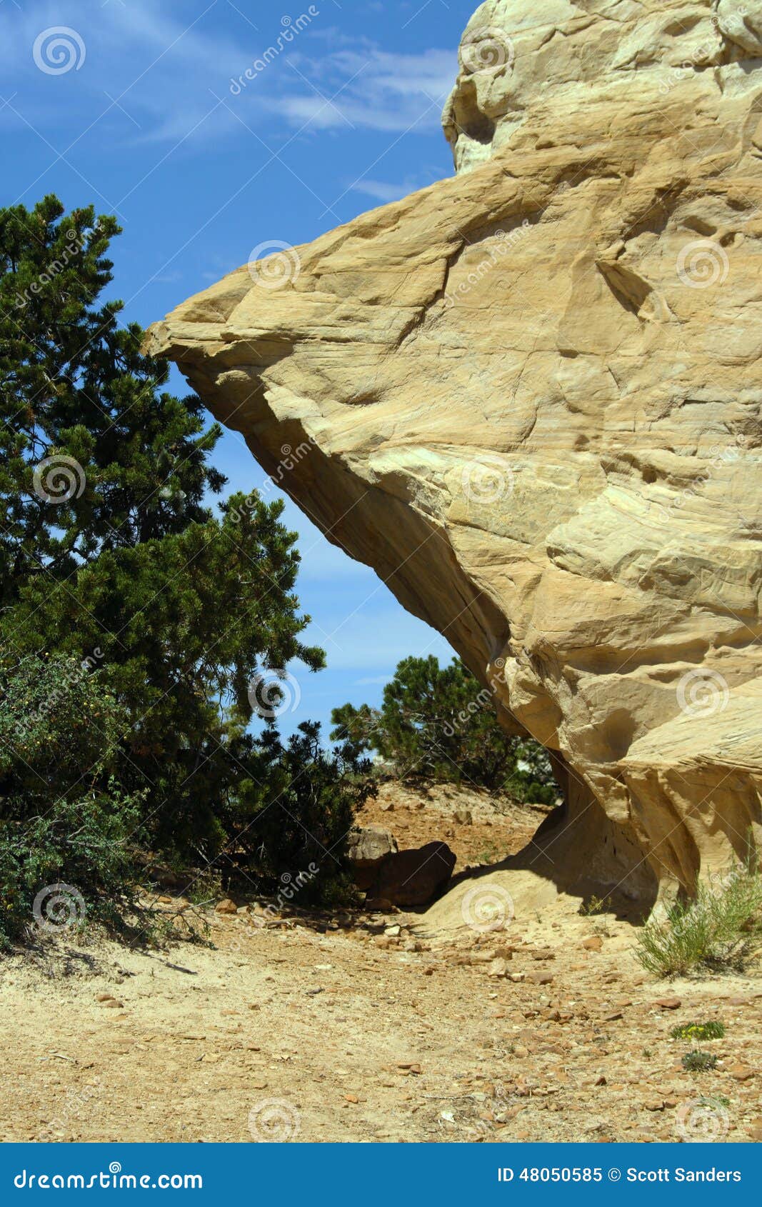 Boulder with Tree stock image. Image of geology, vegetation - 48050585