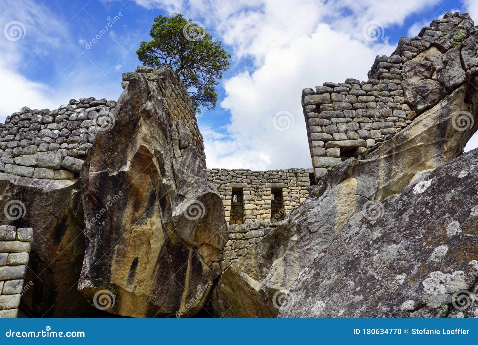 A Boulder with a Tree between the Stone Houses of Machu Picchu Stock ...