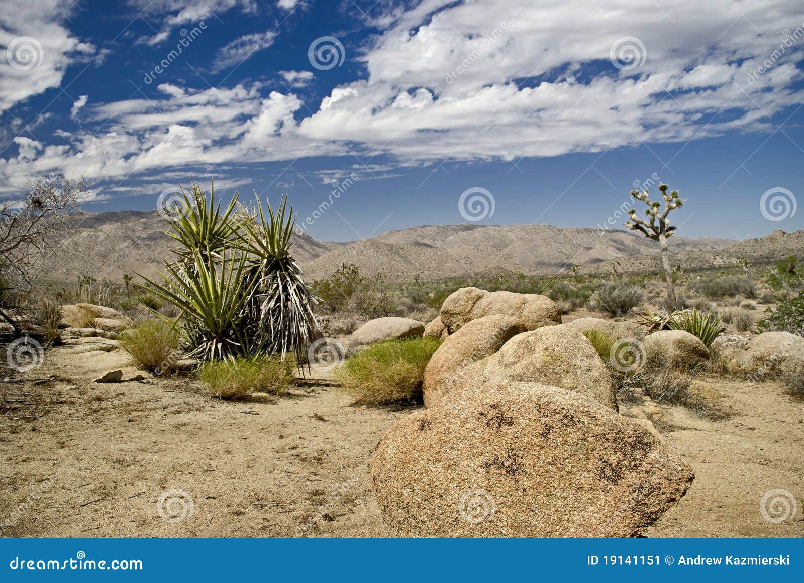 Boulders in the Desert stock image. Image of rocks, arid - 19141151