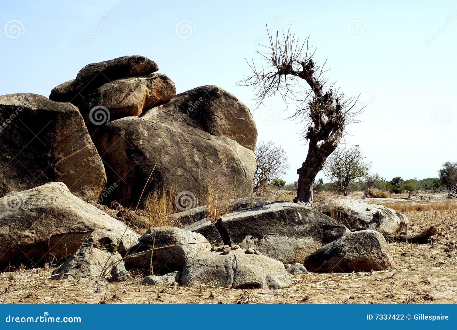 Boulders in Savanna Landscape Stock Photo - Image of balanced, desolate ...