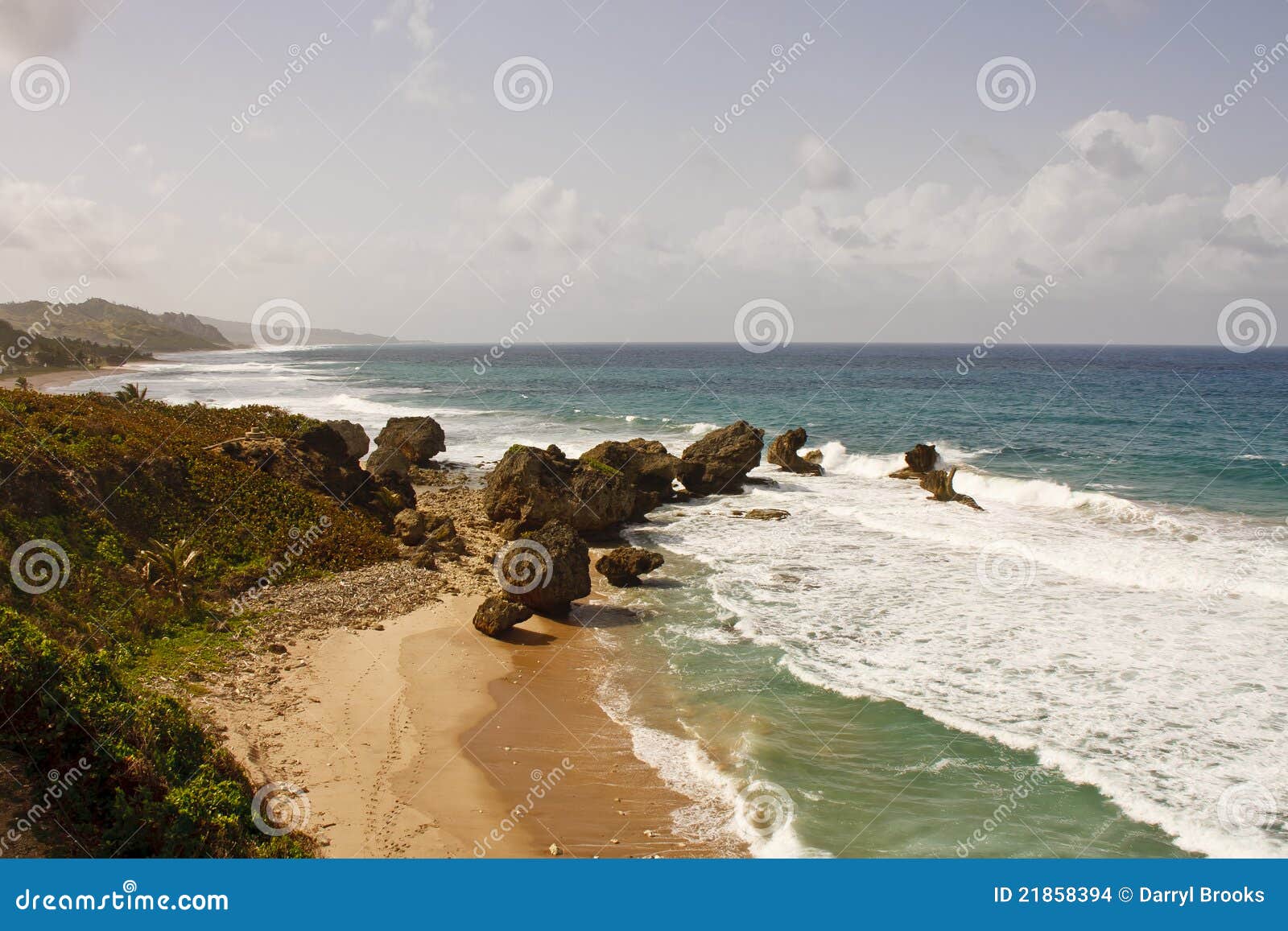 Boulders on a Tropical Beach Stock Photo - Image of tree, coastline ...