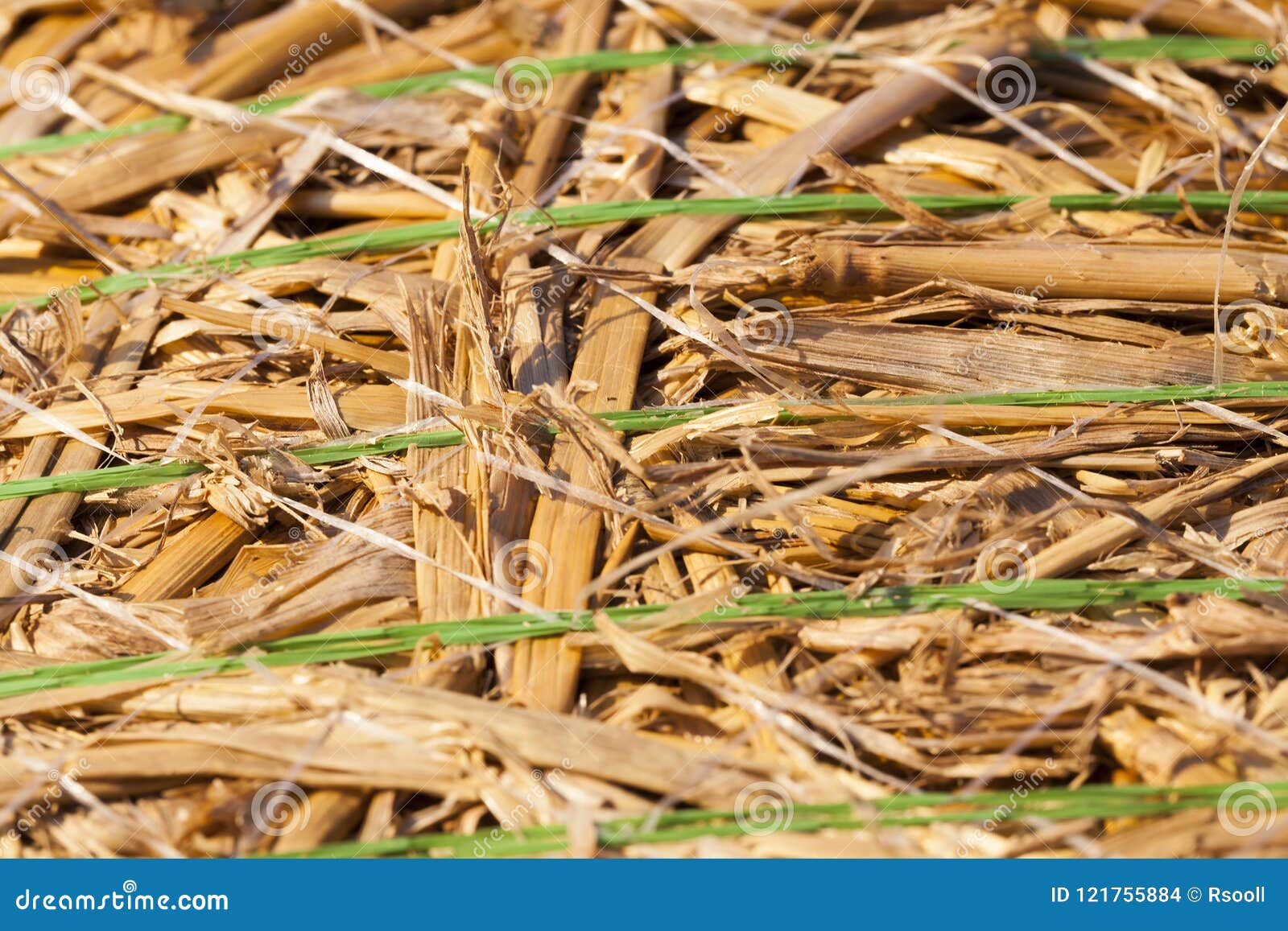 Dry straw stock photo. Image of farm, detail, crop, circular - 121755884