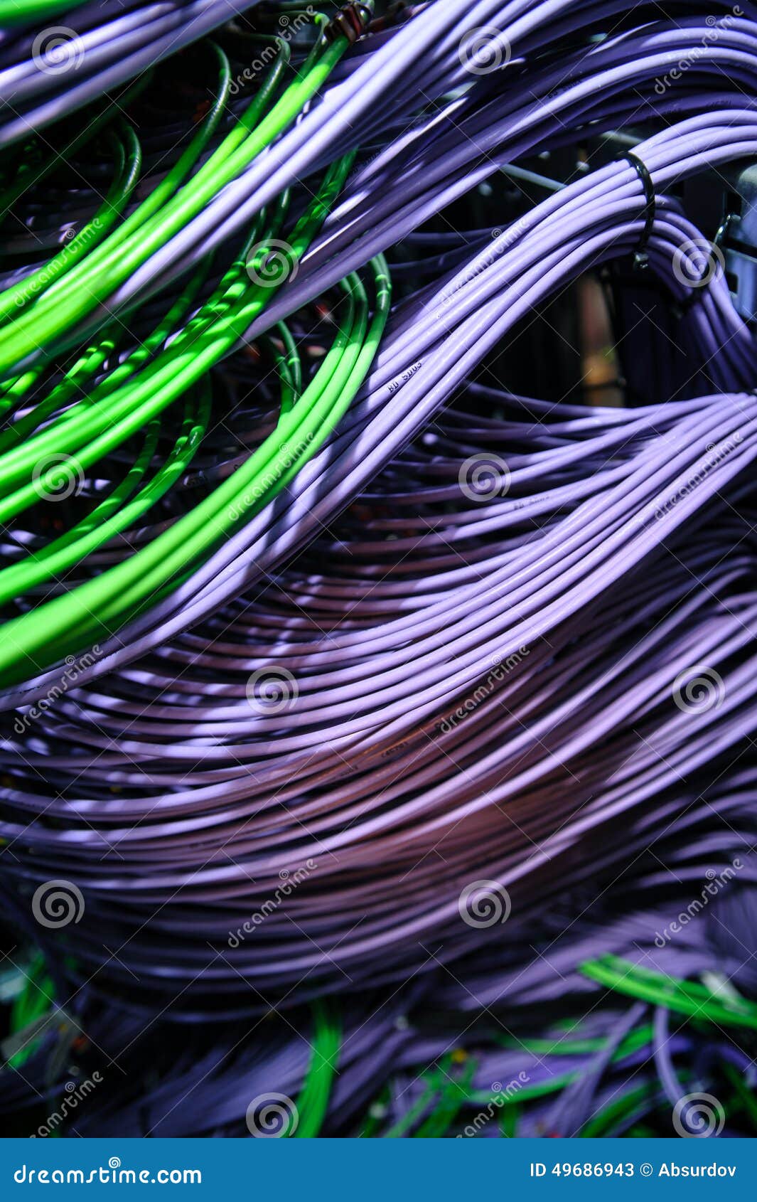 Bound, Network Cables in the Server. Stock Image - Image of fiber ...
