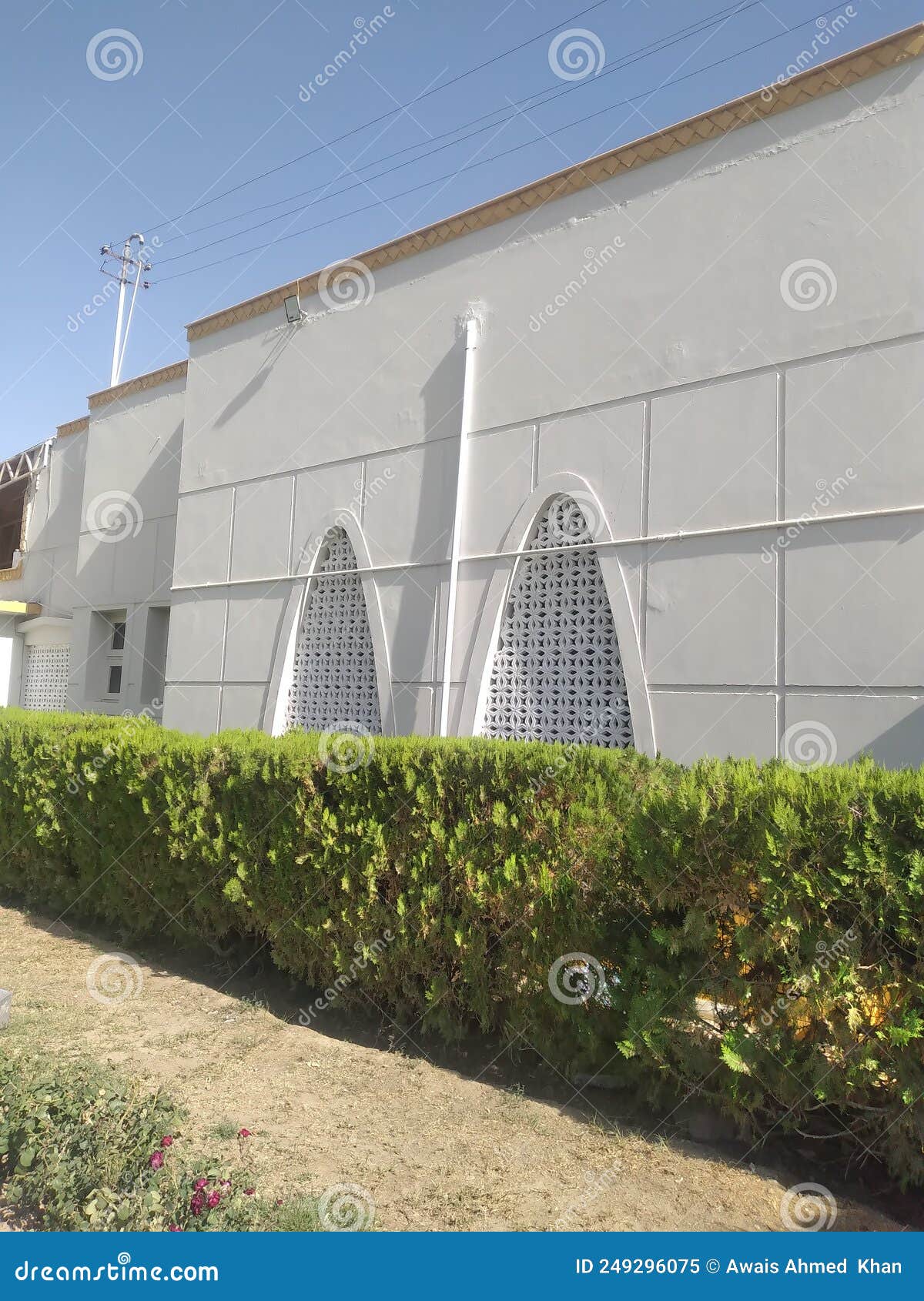 Boundary of Fancy Trees in Front of Wall Stock Image - Image of wall ...