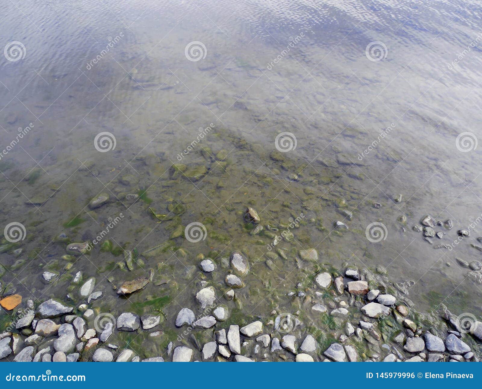 Shore with Pebbles and Blue Water Stock Photo - Image of enter, thirst ...