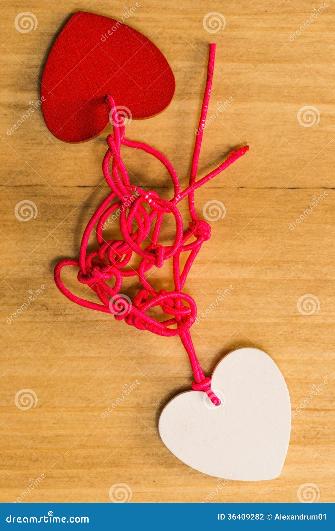 Bounding love stock photo. Image of beautiful, rope, tied - 36409282