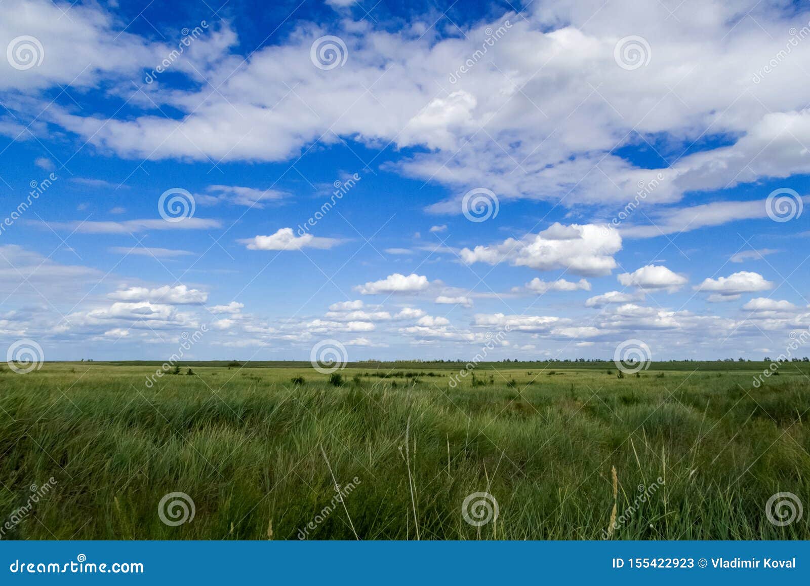 Boundless Beautiful Steppe on a Background of Blue Sky and Clouds Stock ...