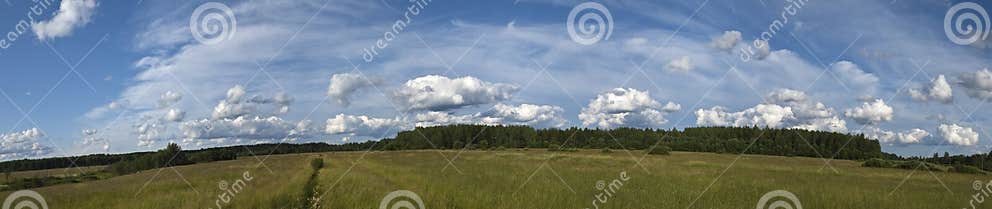 Boundless field stock photo. Image of horizontal, bush - 10995898