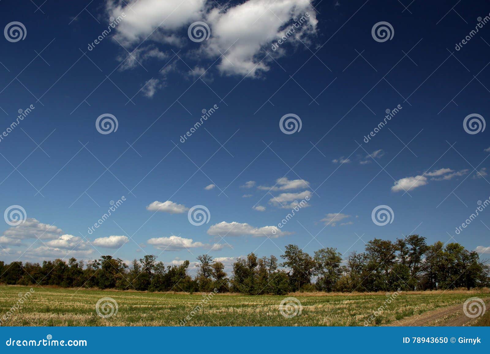 Boundless field. stock photo. Image of landscape, sunlight - 78943650