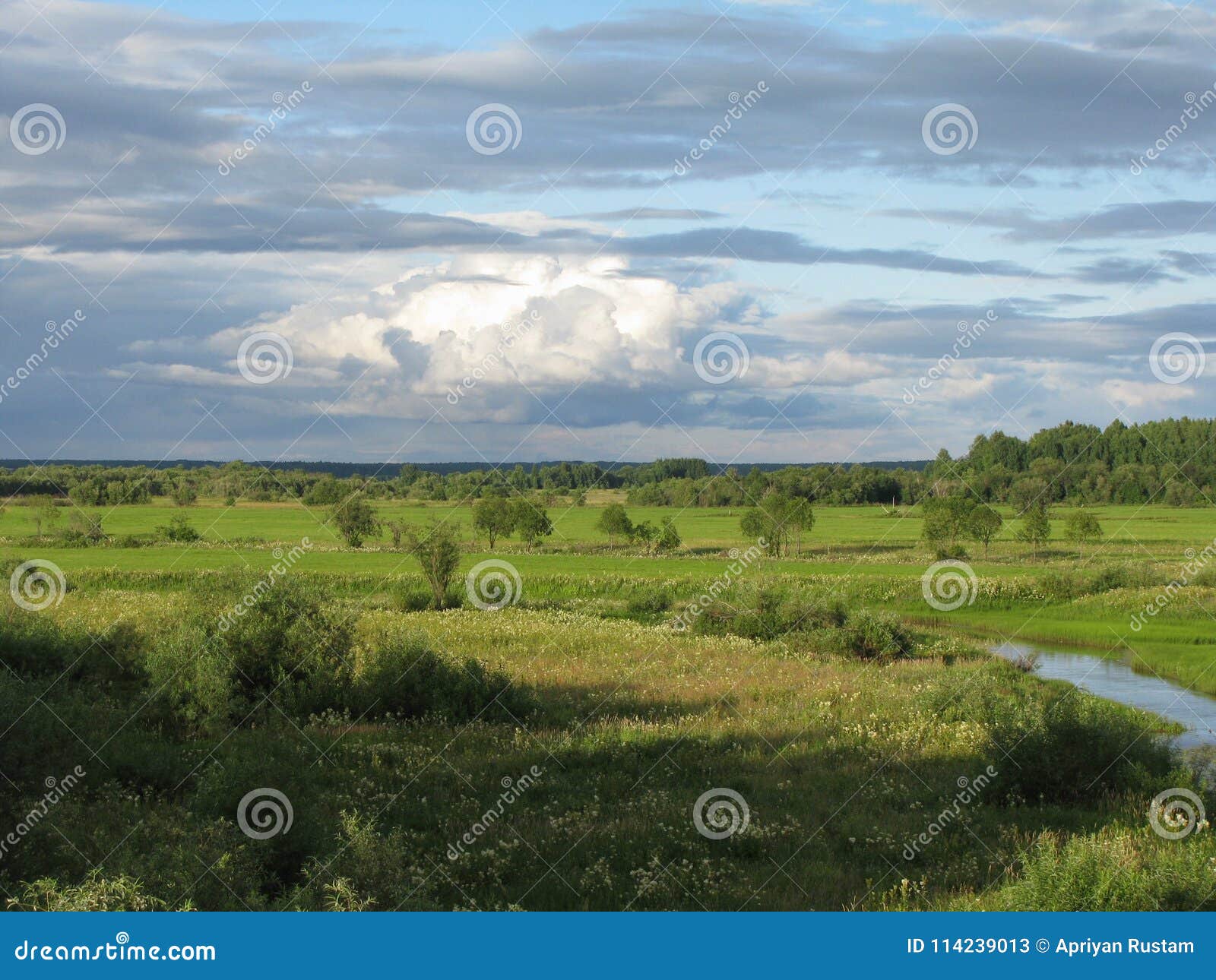 Boundless green spaces stock image. Image of fields - 114239013