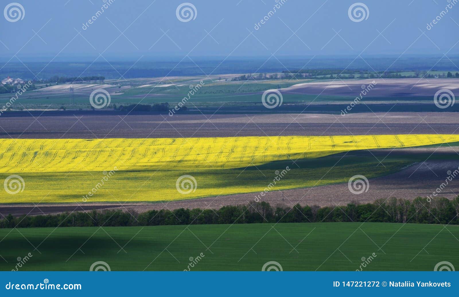 Boundless Yellow, Green and Grey Fields Separated by Trees Stock Photo ...
