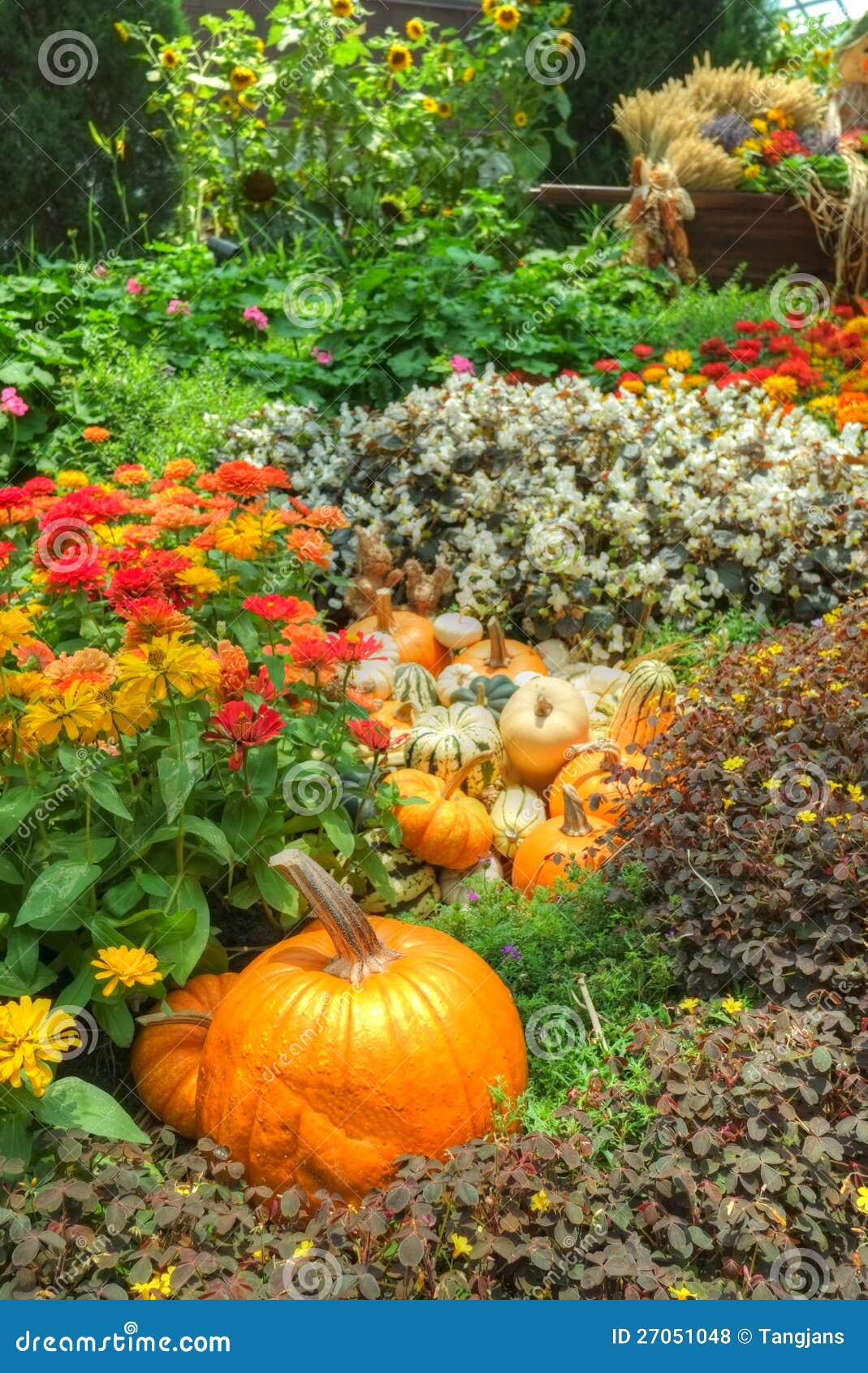 A Bountiful Autumn Harvest stock photo. Image of bountiful - 27051048