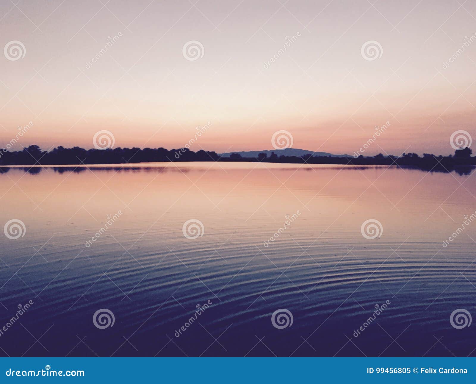 Bountiful pond stock image. Image of pond, beautiful - 99456805