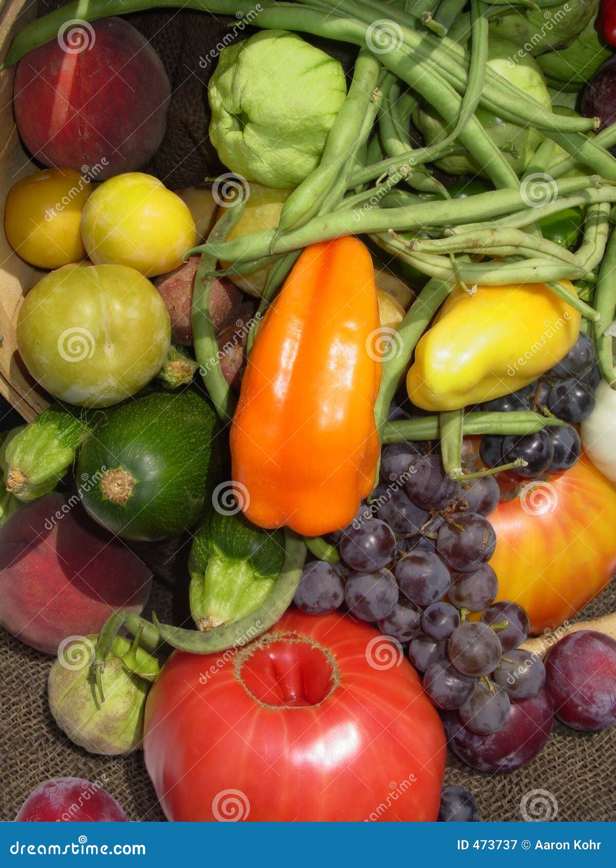 Bounty of Vegetables stock image. Image of basket, farm - 473737