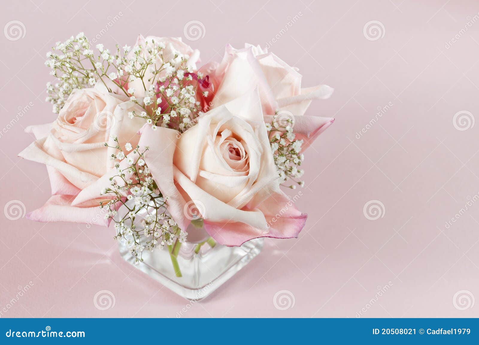 Bouqet De Las Rosas De Bebé Rosadas Imagen de archivo - Imagen de ...