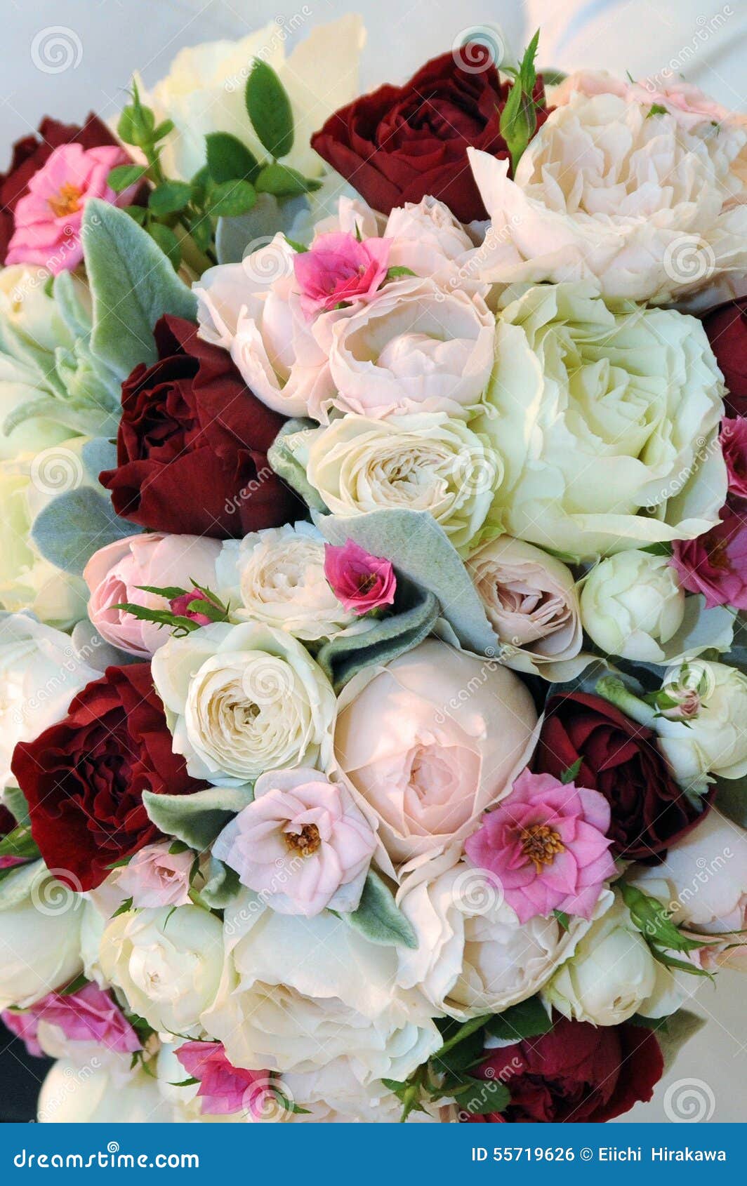 Bouque stockfoto. Bild von zukunft, zusammenarbeit, geben - 55719626