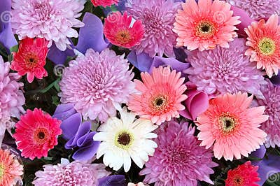 Bouquet stock image. Image of colourful, mauve, beautiful - 1436831
