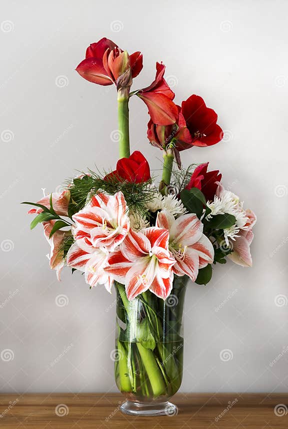 Bouquet with amaryllis stock image. Image of bright, arrangement - 28446783