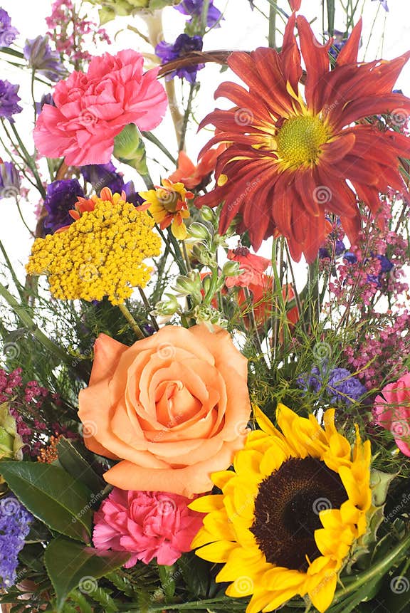 Bouquet of Assorted Flowers Stock Image - Image of isolation, closeup ...