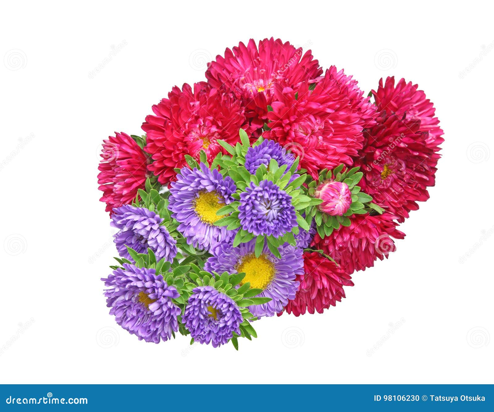 Bouquet of aster stock photo. Image of vivid, background - 98106230