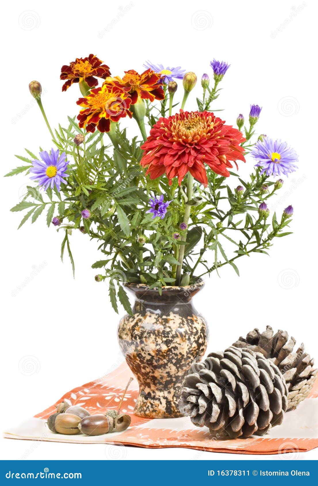 Bouquet of Autumn Flowers, Buds and Acorns. Stock Image - Image of ...