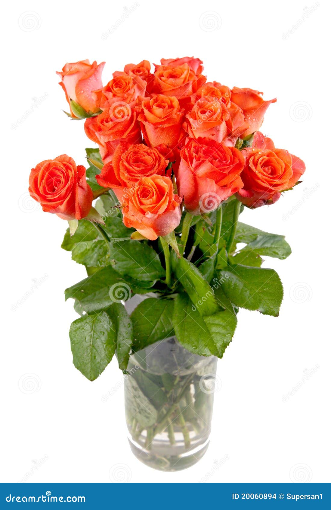 Bouquet of Beautiful Fresh Red Roses Stock Photo - Image of sentimental ...