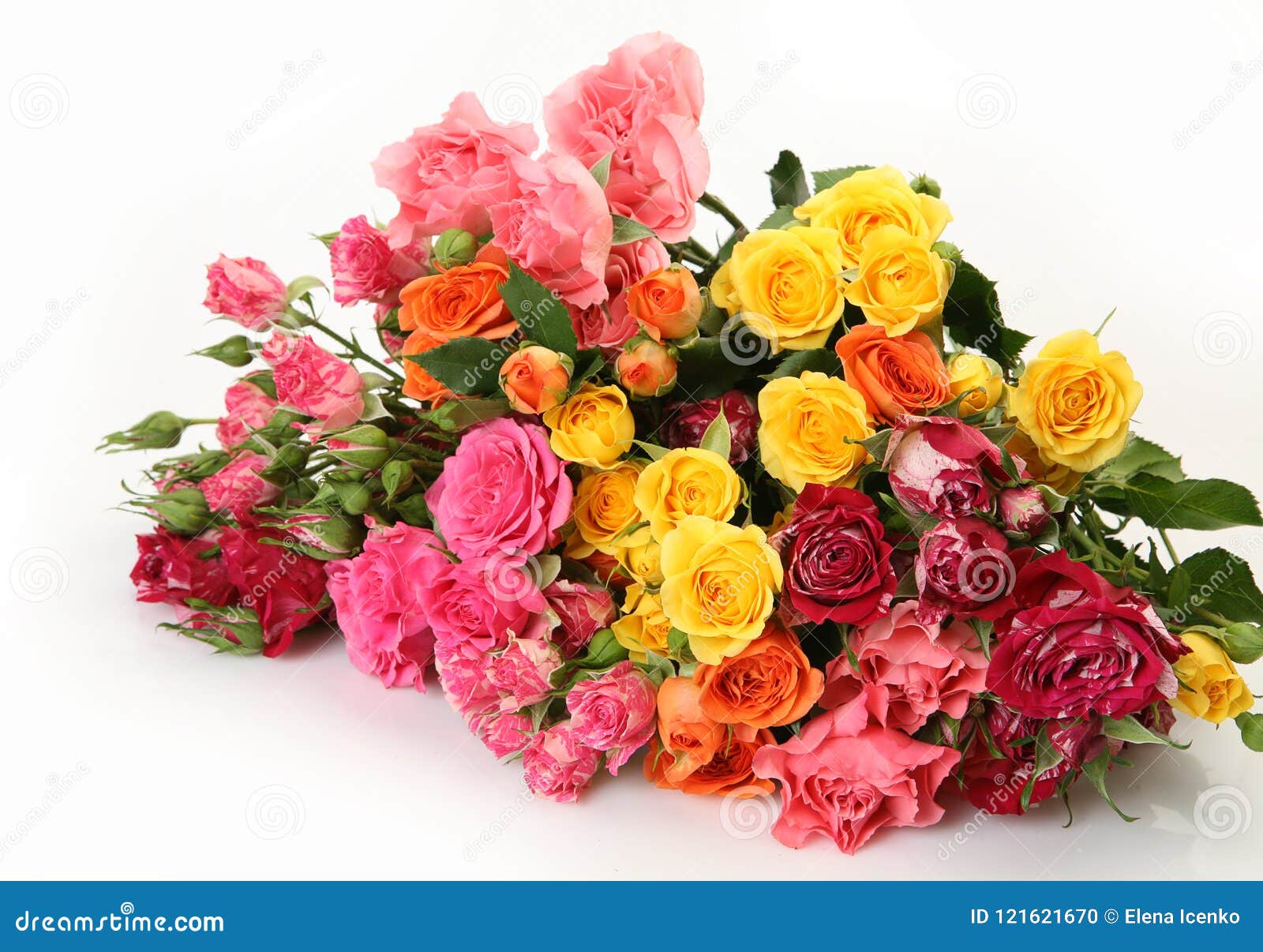 Bouquet of colored roses stock photo. Image of blossoming - 121621670