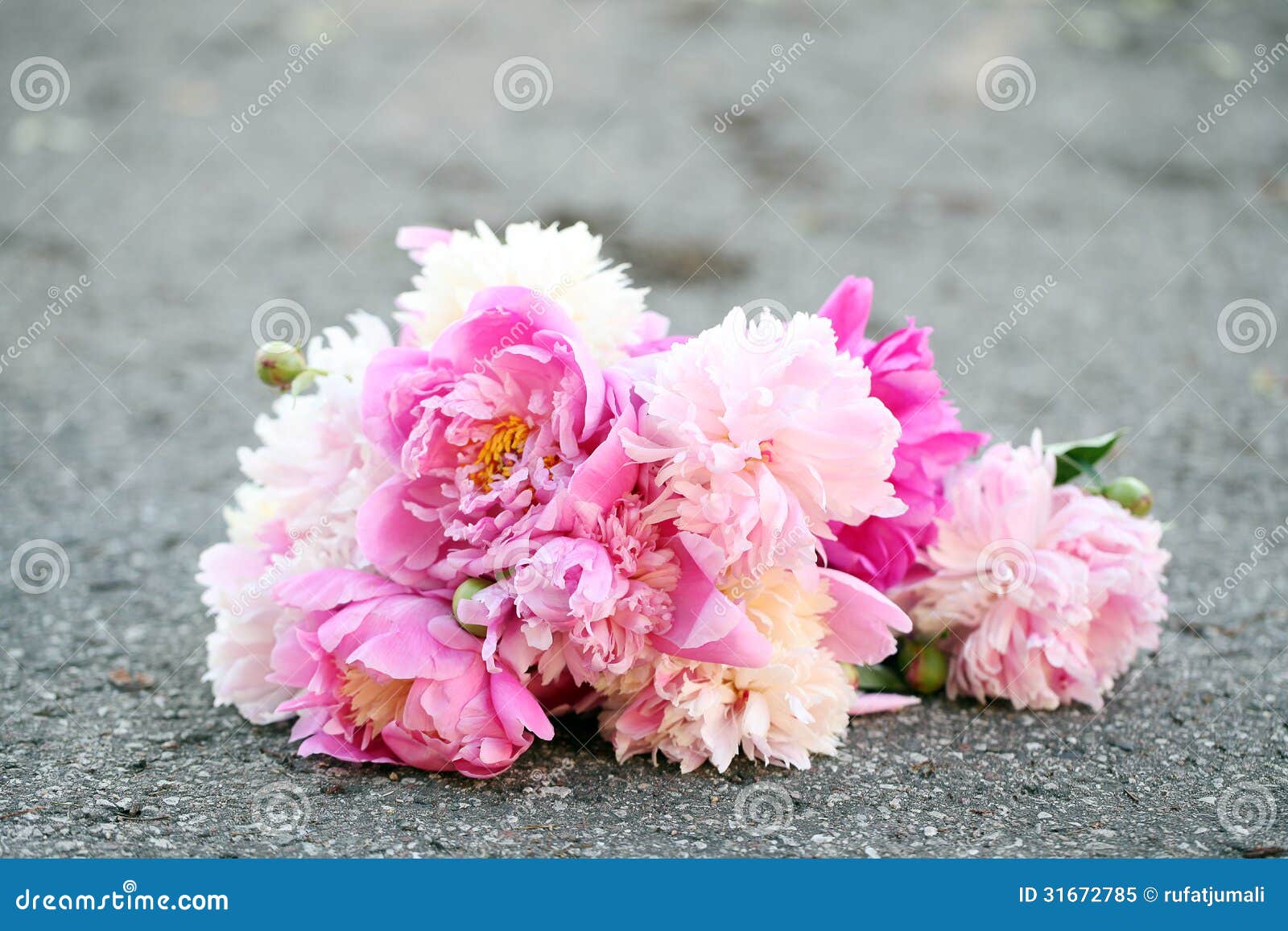 Bouquet of Beautiful Peonies on a Road Stock Image - Image of bunch ...
