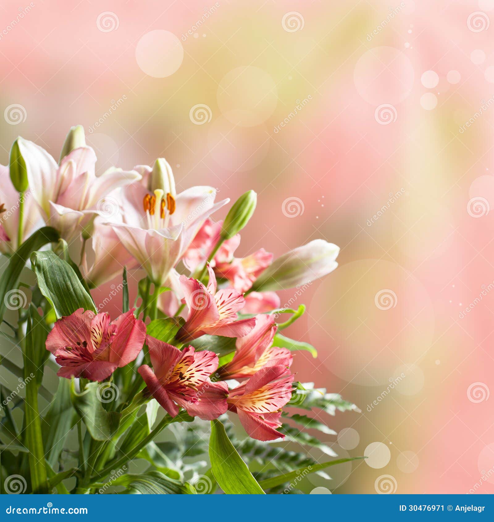 Bouquet of Beautiful Pink Flowers with Bokeh Stock Image - Image of ...