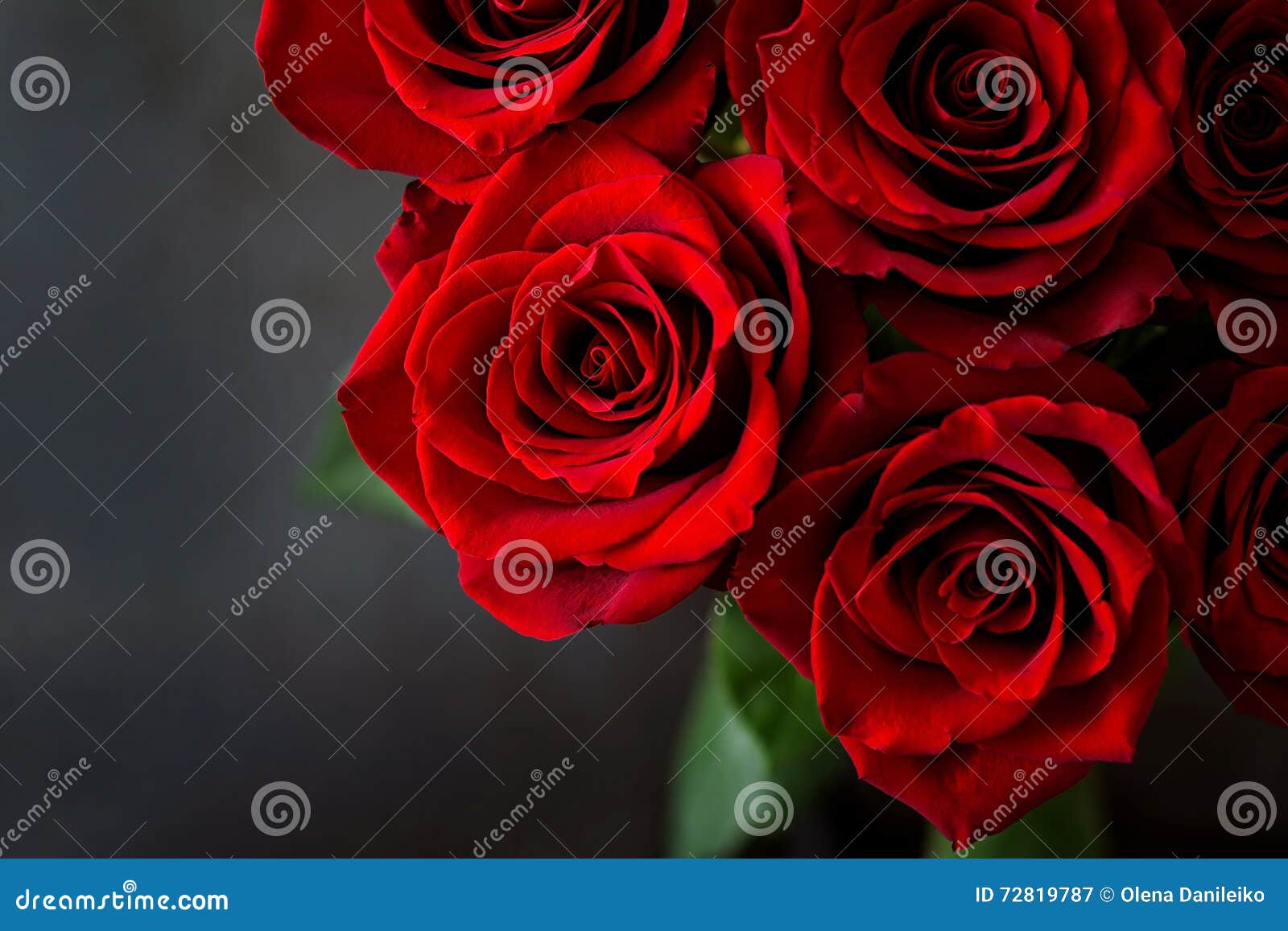 Bouquet of Beautiful Red Roses on Black Background. Stock Image - Image ...