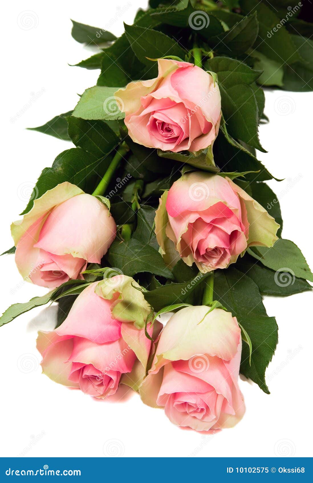 Bouquet of beautiful roses stock image. Image of close - 10102575