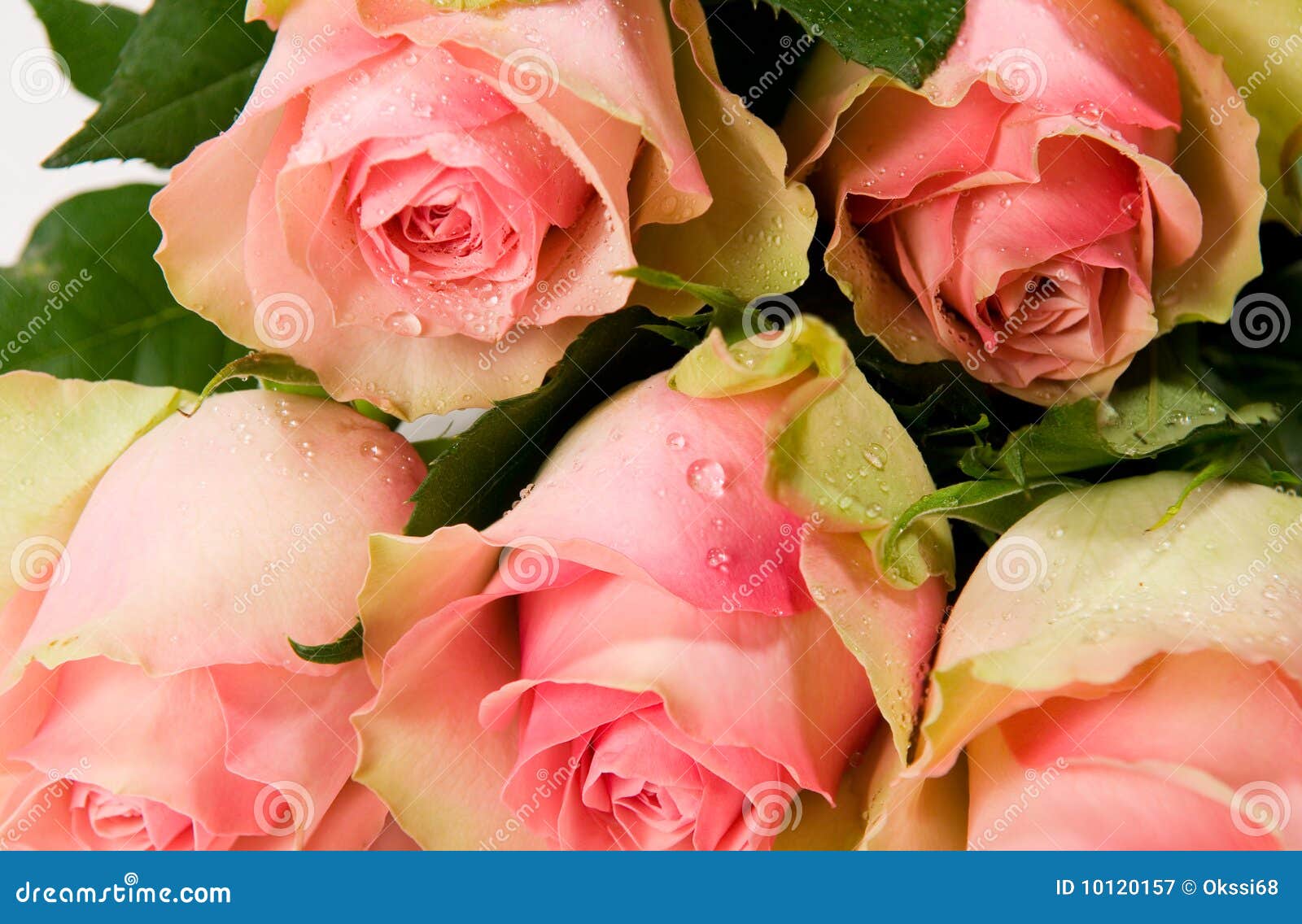 Bouquet of beautiful roses stock image. Image of stem - 10120157