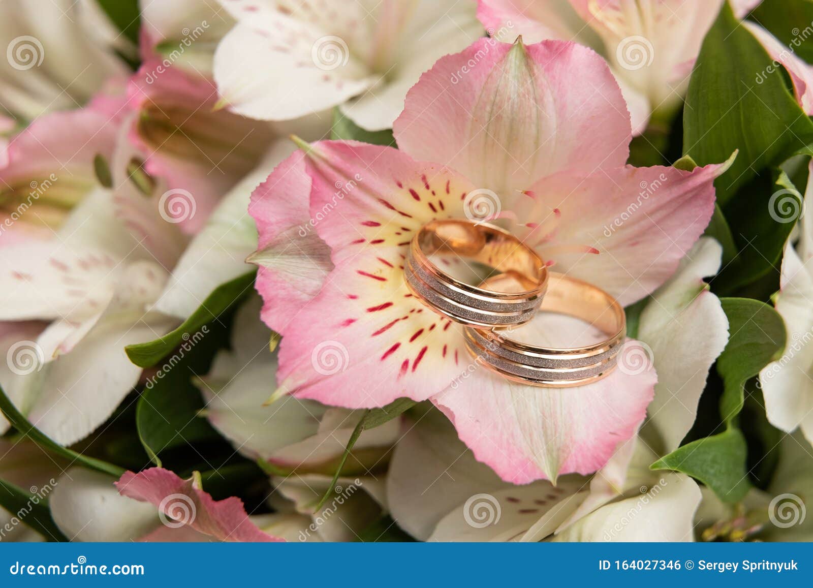 Bouquet with Beautiful Roses and Wedding Rings Stock Photo - Image of ...