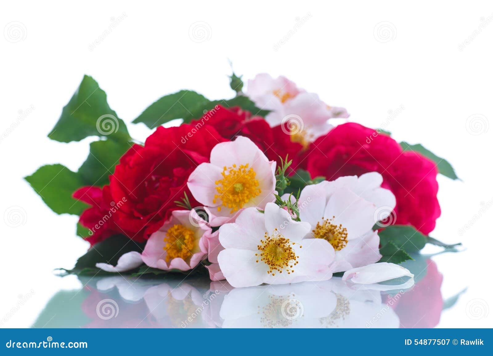 Bouquet of Beautiful Wild Roses Stock Image - Image of flora, gift ...