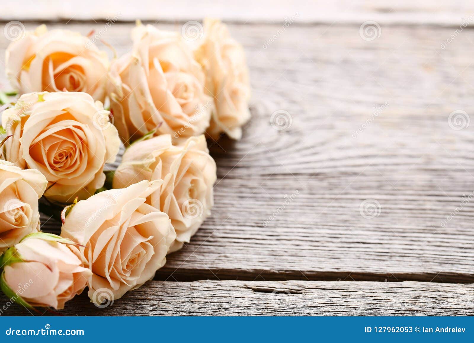 Bouquet of beige roses stock image. Image of leaf, design - 127962053