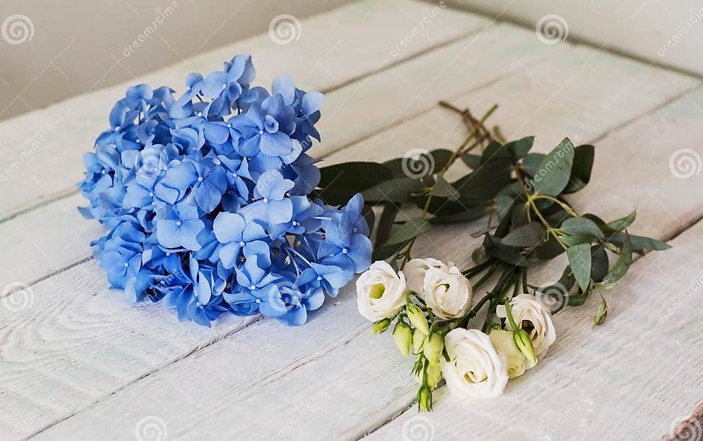 Bouquet with Blue Hydrangea, White Roses Stock Photo - Image of blue ...