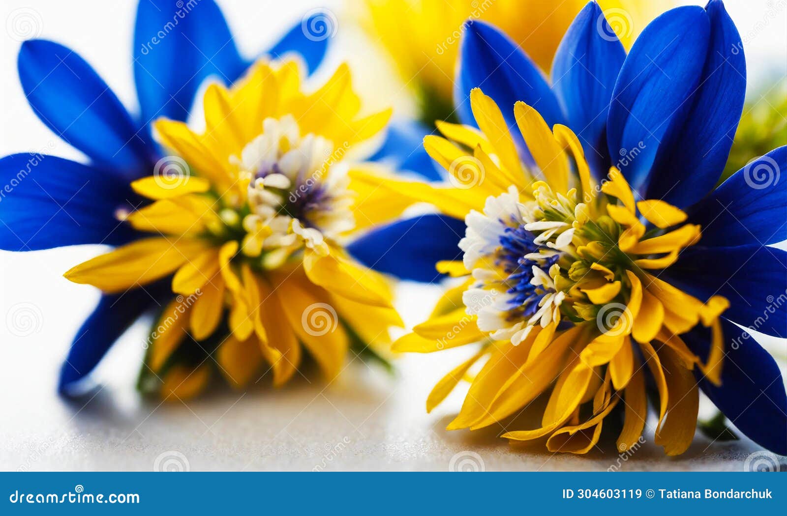 Bouquet of Blue and Yellow Flowers on a White Background. Stock Image ...