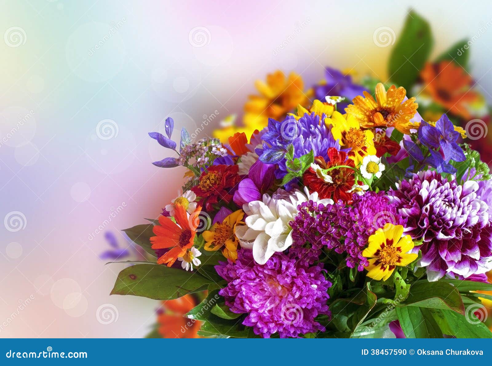 Bouquet of Bright Colorful Flowers Stock Photo - Image of dahlia ...