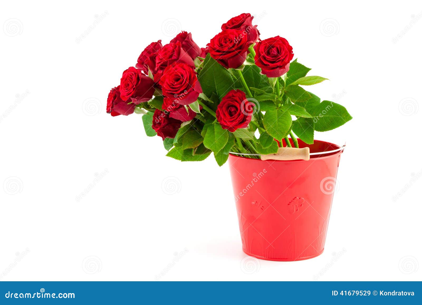 Bouquet of Bright Red Roses in a Red Bucket Stock Image - Image of ...