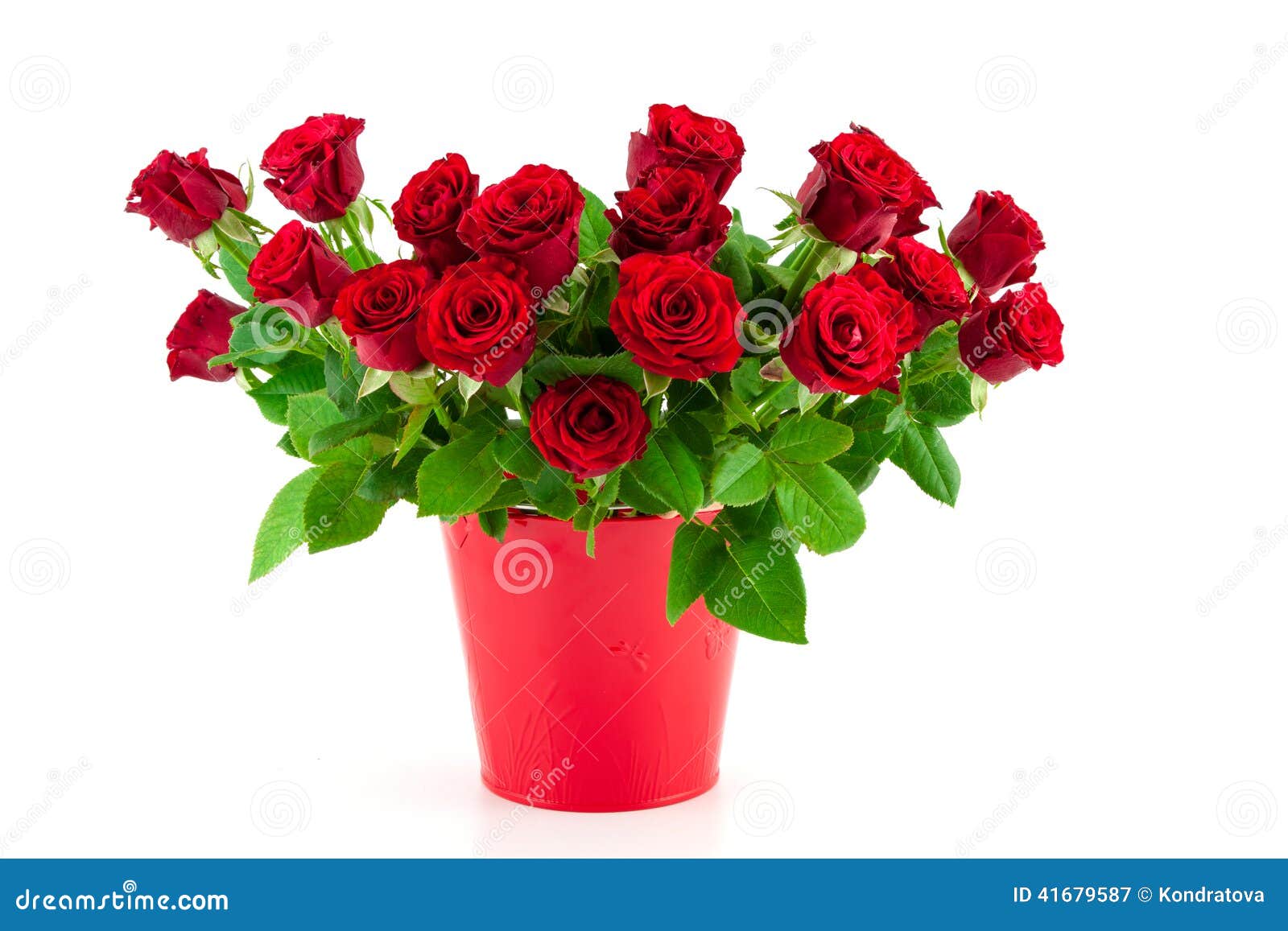 Bouquet of Bright Red Roses in a Red Bucket Stock Image - Image of ...