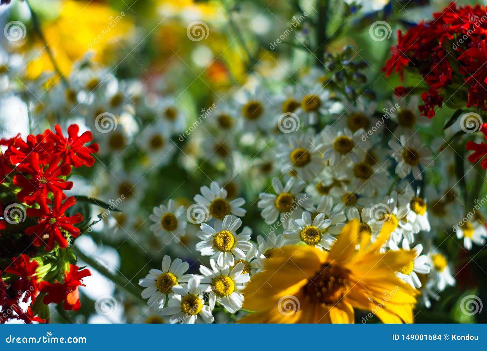 A Bouquet of Bright Spring Flowers of Various Types Stock Photo - Image ...